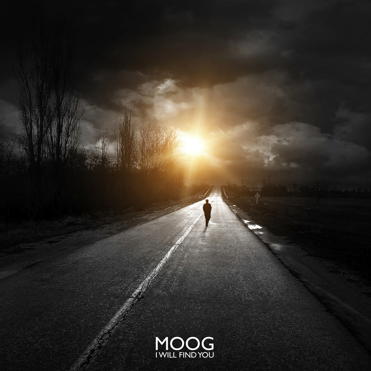 MOOG Singles (Boosted Multipack) – Mighty Car Mods